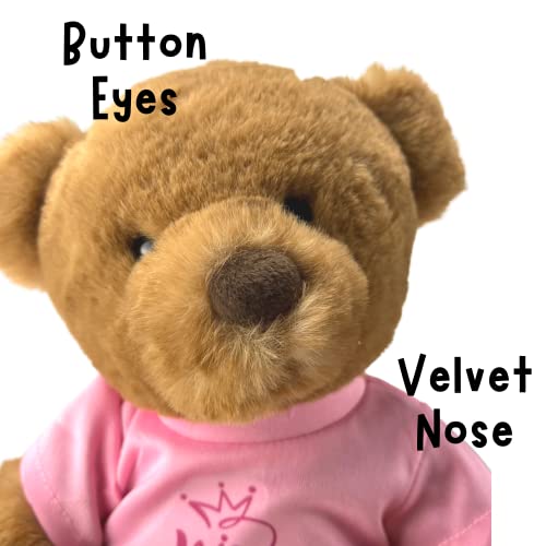 Jolitee Big Sister Gift Set - Big Sister Stuffed Animal Teddy Bear