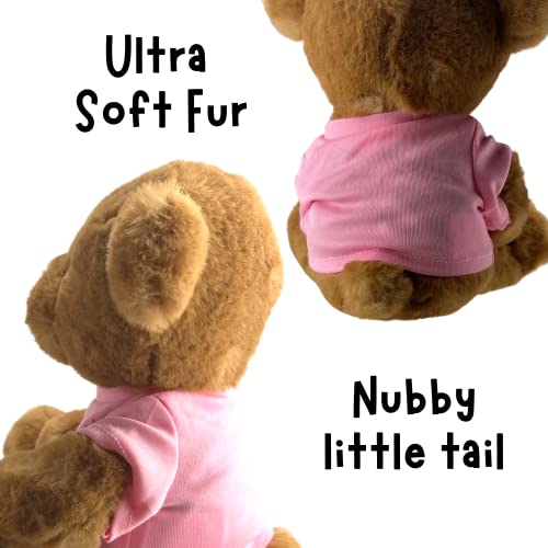 Jolitee Big Sister Gift Set - Big Sister Stuffed Animal Teddy Bear