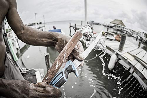 Gerber Gear Controller - Saltwater Fishing Fillet Knife for Fishing Gear - Cyan, 8 Inches