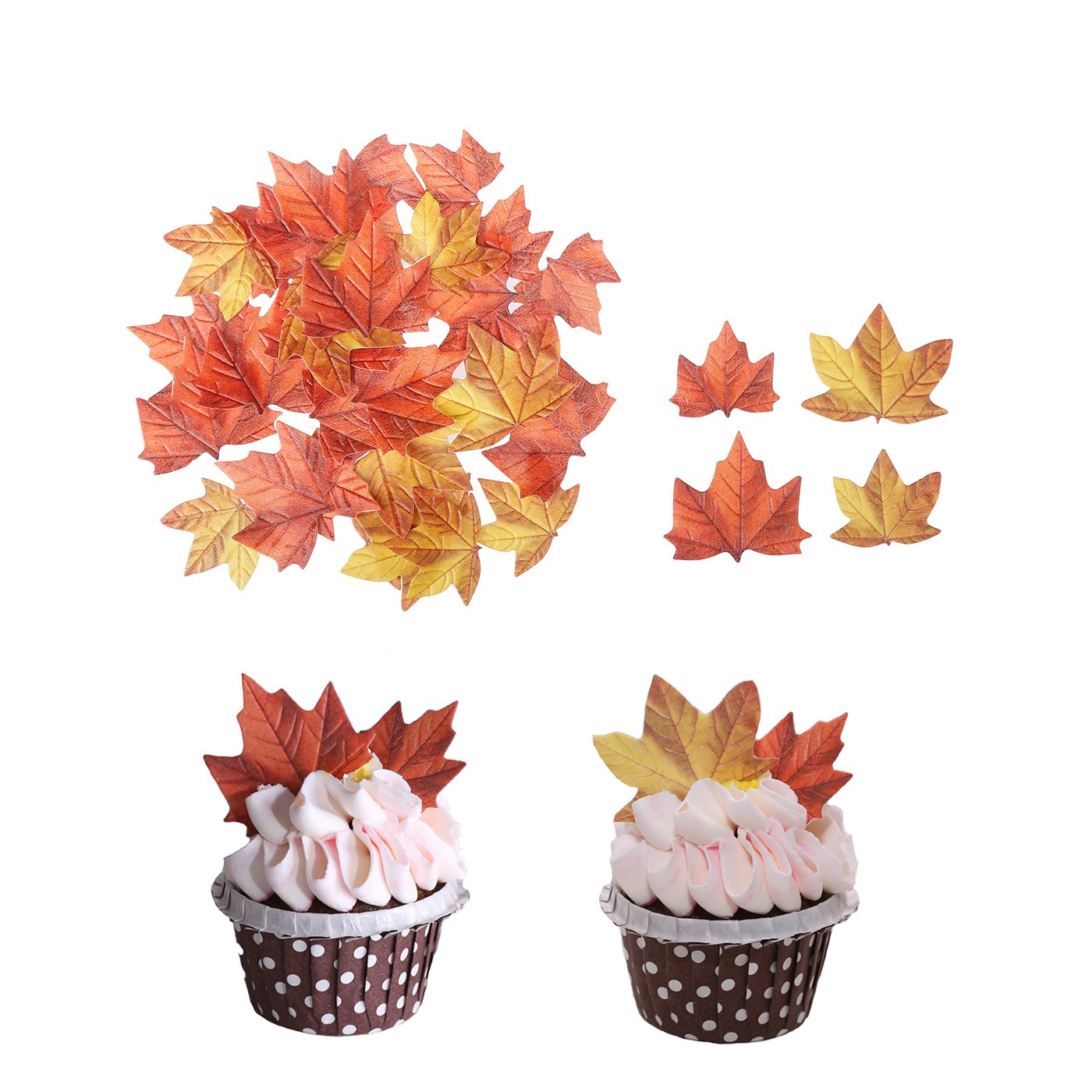 GEORLD Edible Fall Leaves Set of 48 Cake Decorations, Autumn Cupcake Topper 2 Colors