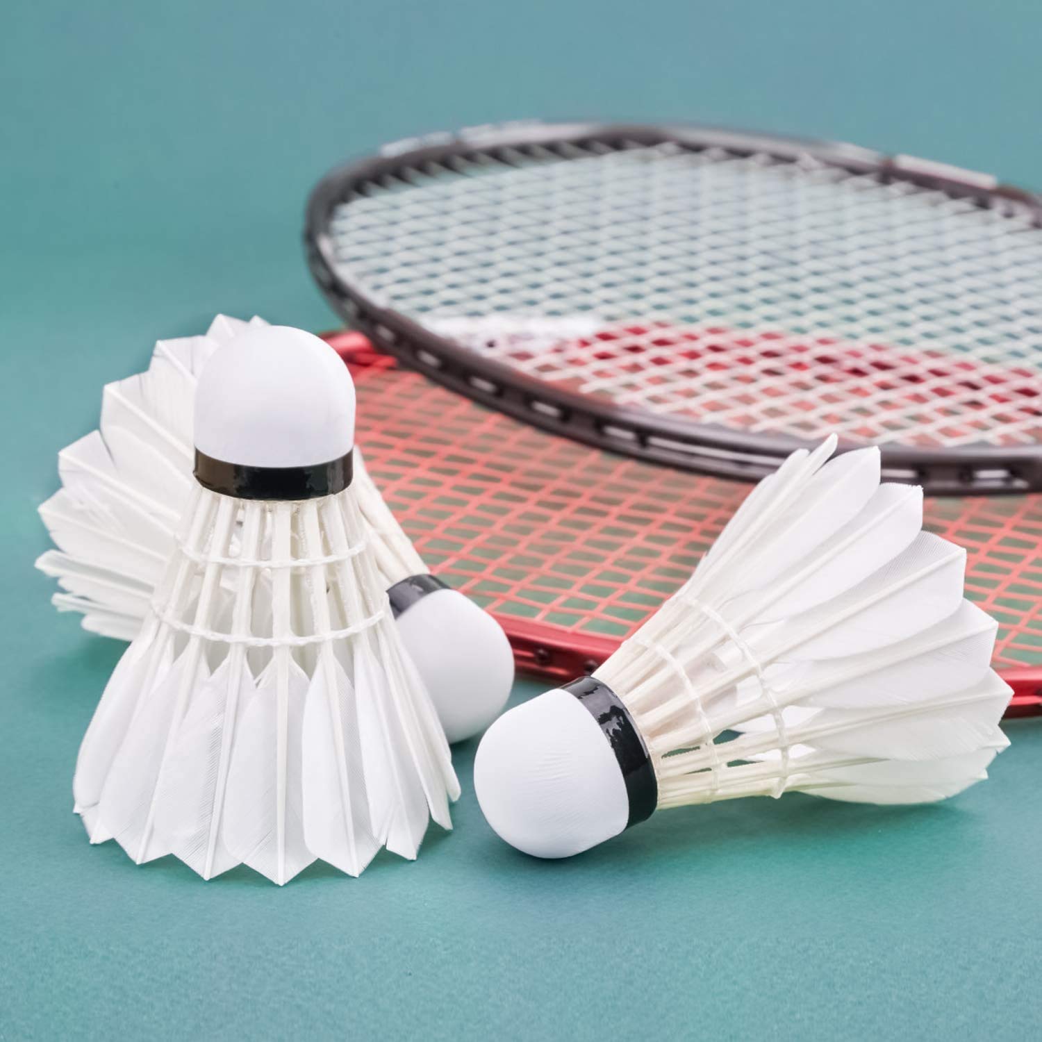 Goose Feather Badminton Shuttlecocks Balls, RAHVISH 12-Packs Advanced White Birdies Shuttlecock with Stability and Durability High Speed Flight, Training Badminton Balls for Indoor Outdoor Sport