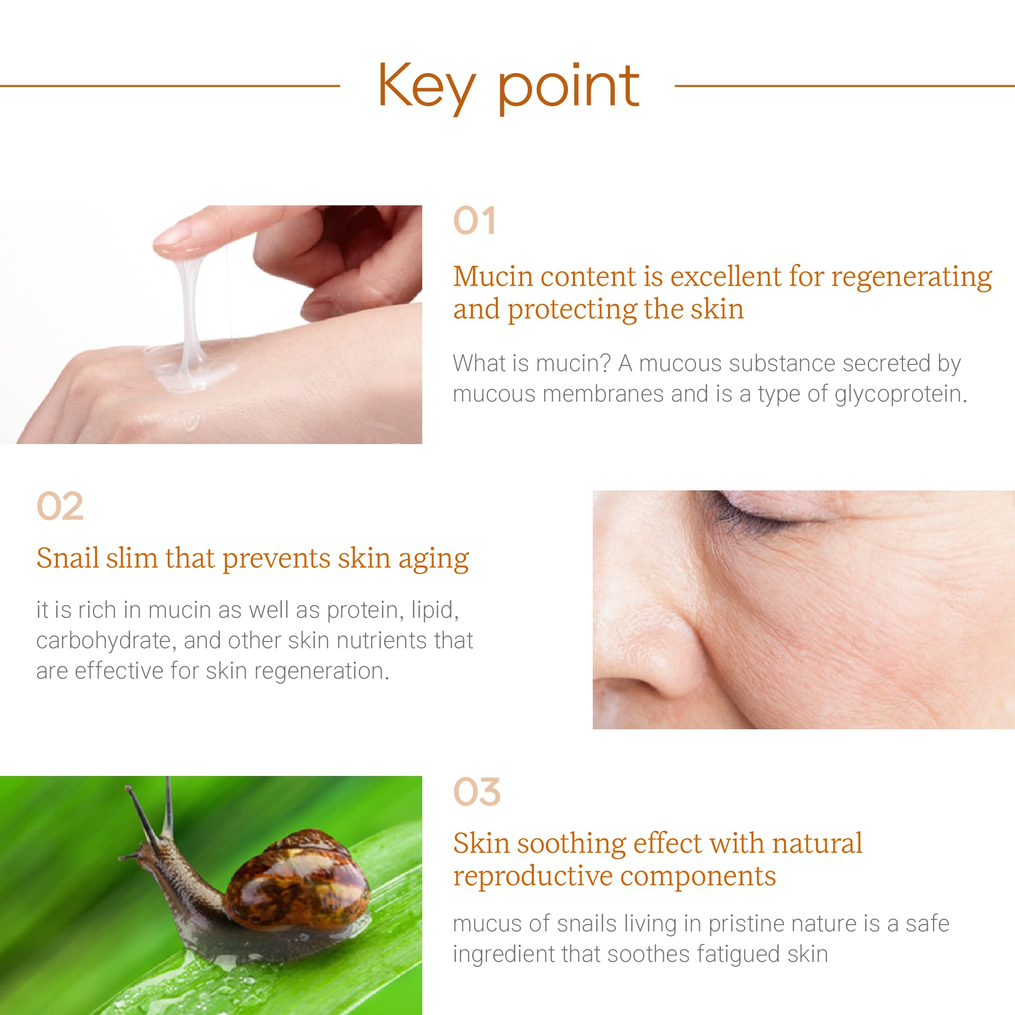 Jantblanc Snail -Mucus Skin Care Set (Skin Care 6 Set)
