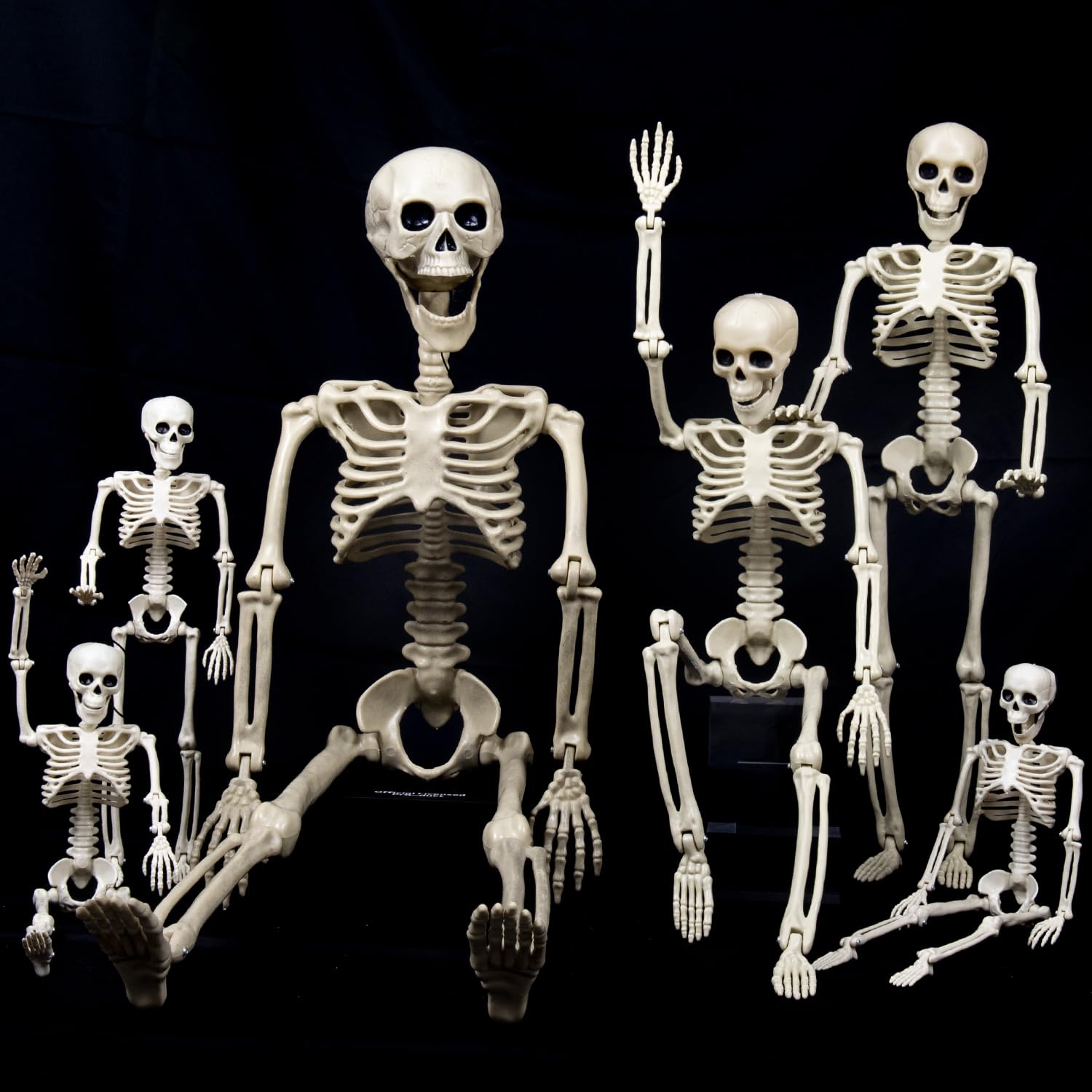 HBSTK 6 Pack(1×40"+2×24"+3×16") Pose-N-Stay Halloween Skeleton Life Size Full Body Posable Movable Jonints for Halloween Decoration Decor