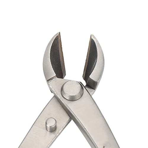 Hand Forged Bonsai Concave Branch Cutter, 165mm Round Concave Branch Cutter, Stainless Steel Bonsai Tree Knob Cutter Concave Cutter, Bonsai Cutting Tool for Garden