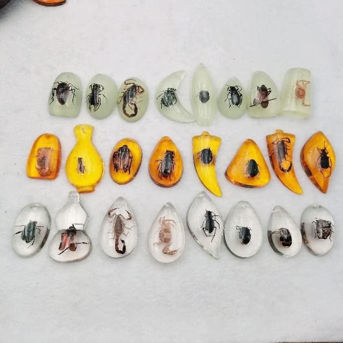 Multiple Psc Insect Amber Fossils, Luminous Amber Fossil Pendants, Educational and Scientific Amber Collections (12Pcs)
