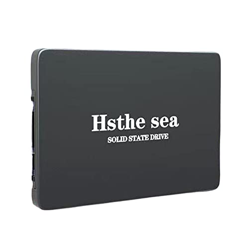LUYANhapy9 for Hsthe Sea Solid State Disk Large Memory Noiseless Fast Data Transfer SATA 3.0 Solid State Disk for Laptop 512GB