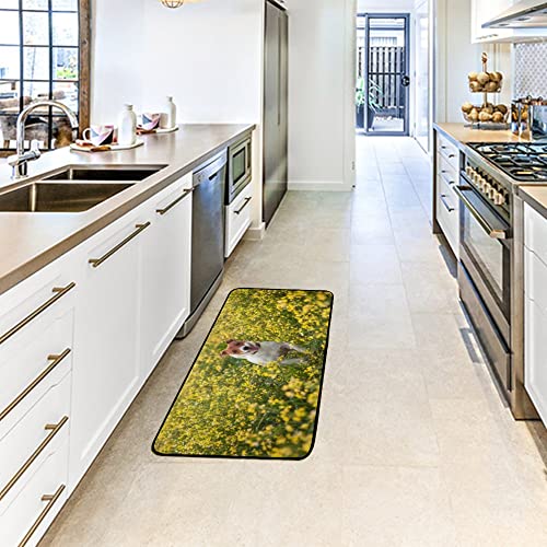 Kitchen Mat Rug Comfort Standing Mat Yellow Flower Dog Soft Absorbent Runner Rug for Hallway Entryway Bathroom 39x20 inch