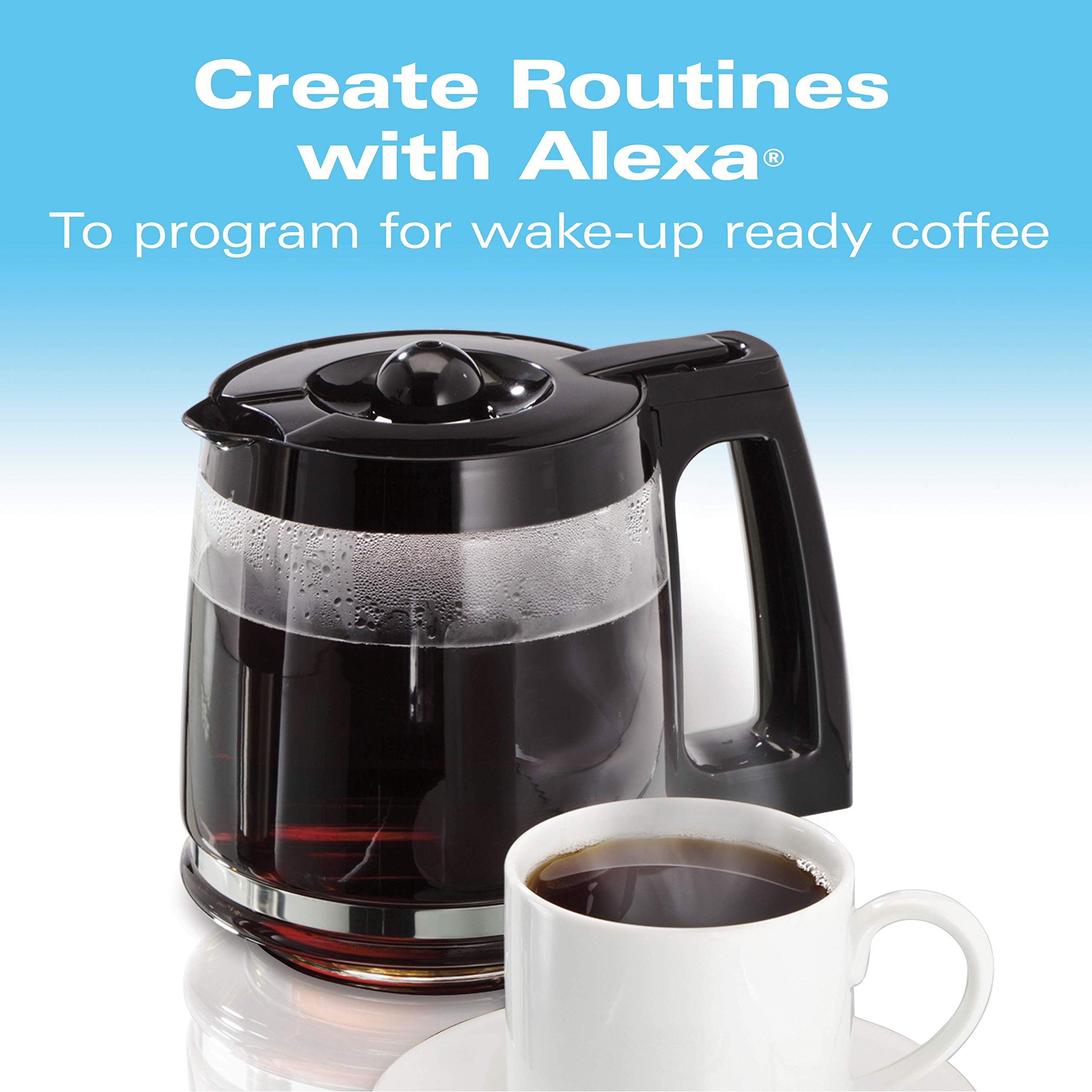 Hamilton Beach Works with Alexa Smart Coffee Maker with Echo Dot (3rd Gen)