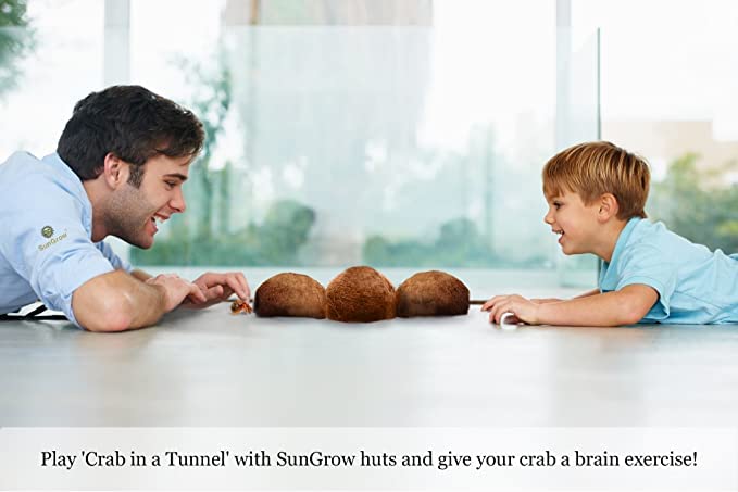 Gluc Hermit Crab Huts, 5x3 Inches, Arthropod's Coconut Hide, Spacious Coco Tunnel, Use as Hermit Cave or Climber, 2-Pcs