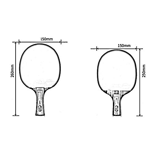 Hewen-Ping Pong Set 4 Star Ping Pong Paddle Table Tennis Racket Ping Pong Bat Set with 2 Rackets, 3 Balls Table Tennis Bat (Size : Short)