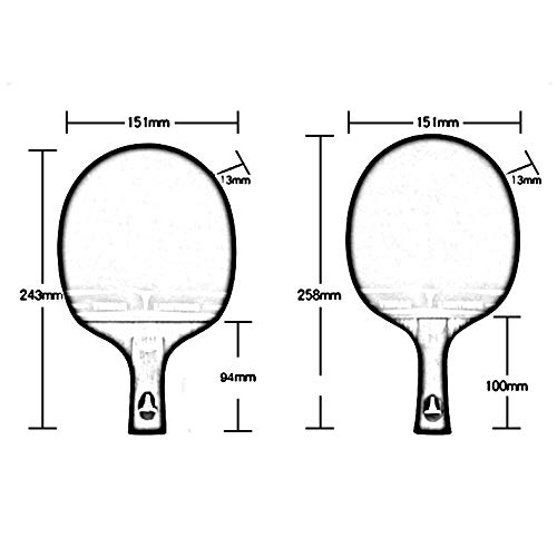 Hewen-Ping Pong Set Professional Table Tennis Racket Pingpong Paddle Ping Pong Bat Set with 1 Rackets, 10 Balls and Racket Case Table Tennis Bat (Color : 6 Star, Size : Short)