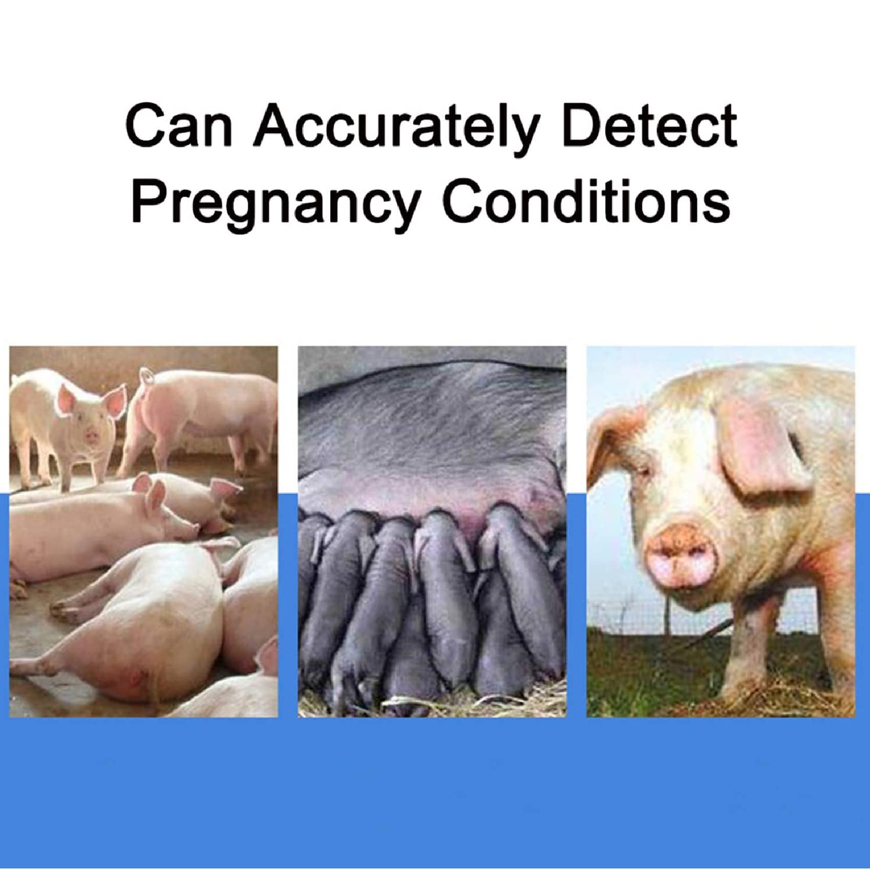 LXT PANDA Portable Wireless Ultrasound Scanner, Handheld Waterproof Ultrasound Pregnancy Test Machine with Electronic Convex Vibration Probe for Sheep Dog Cat and Pig