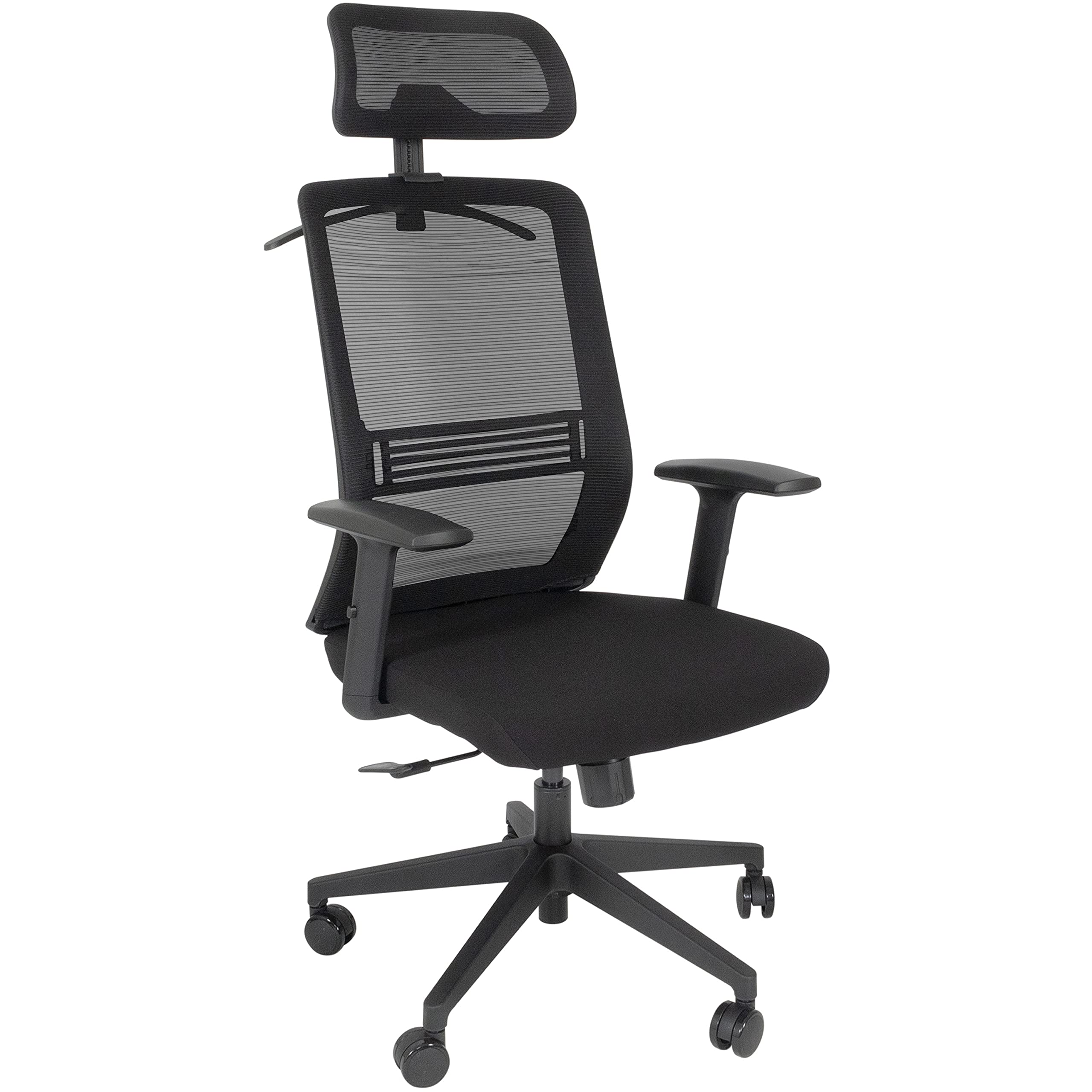 Hamilton Ergonomic Mesh Office Chair, High Back Recliner Computer Desk Chair, Adjustable Seat Armrest Headrest, Lumbar Back Support, Breathable Mesh, Tilt Function, Black