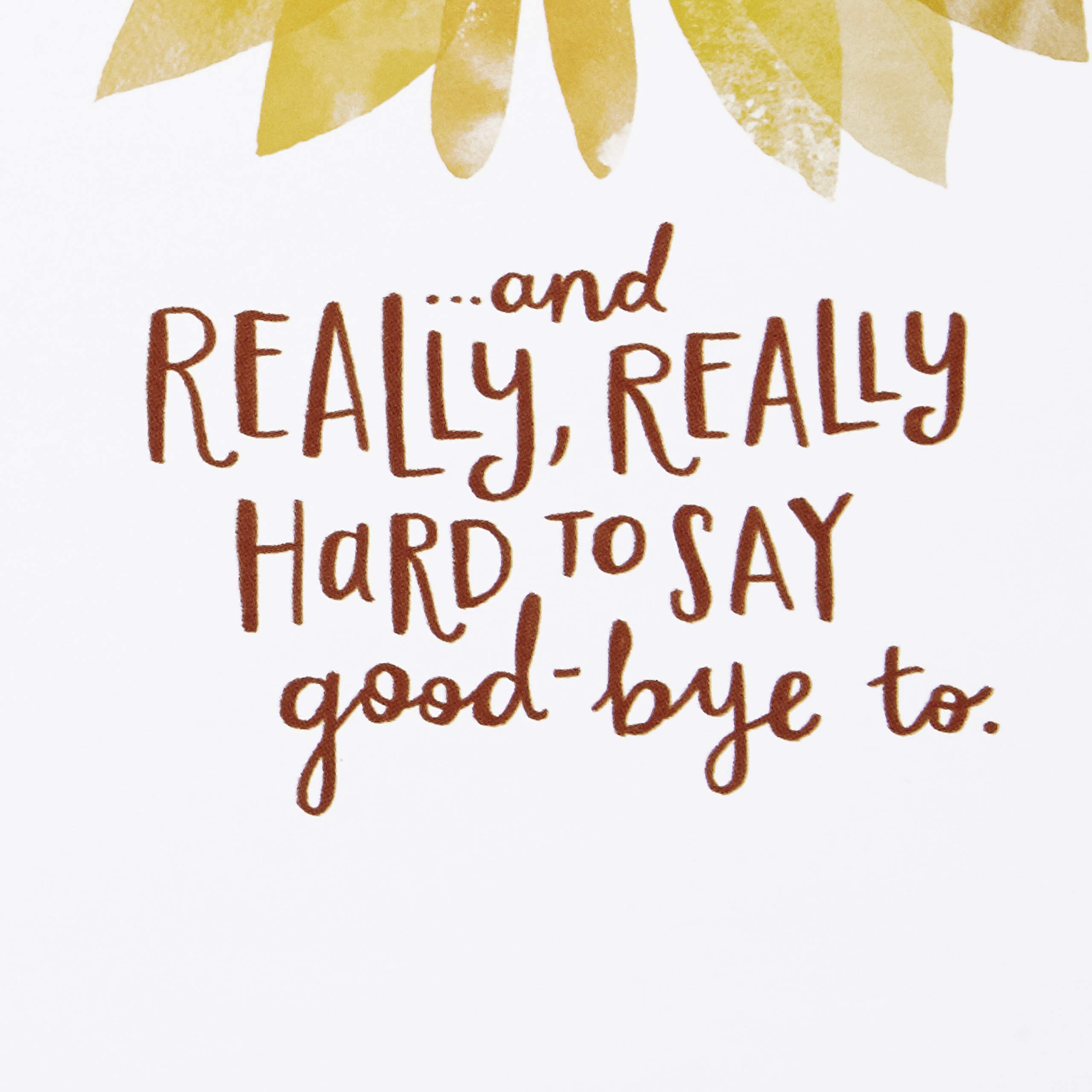 Hallmark Coworker Goodbye Card (Easy to Like)