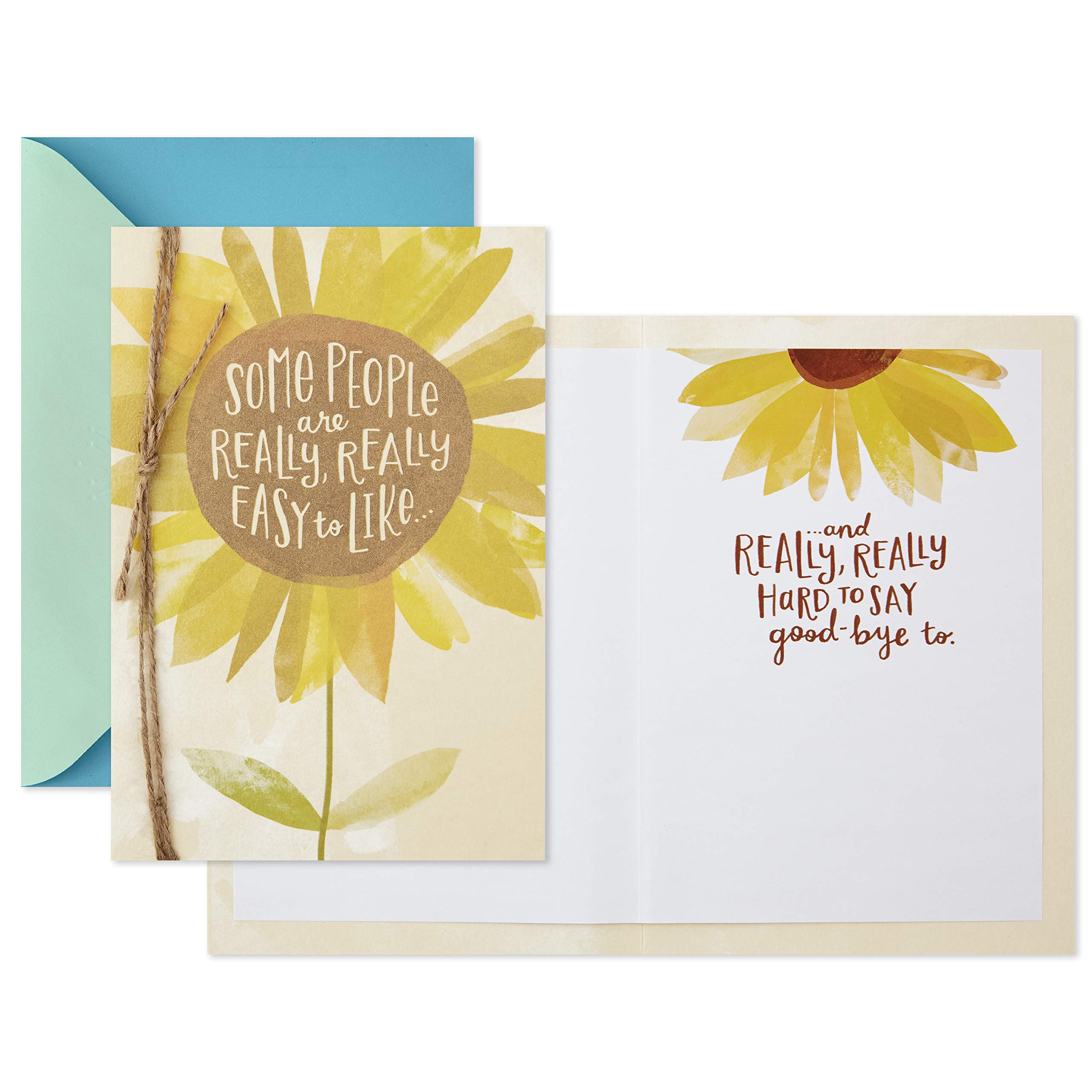 Hallmark Coworker Goodbye Card (Easy to Like)