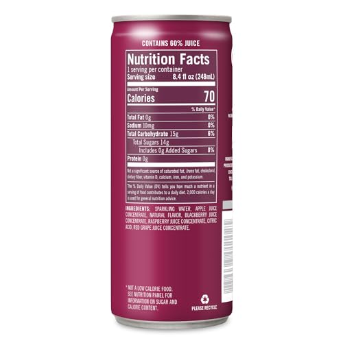 IZZE Blackberry Juice, No Sugar Added, 8.4 oz., 24/Carton
