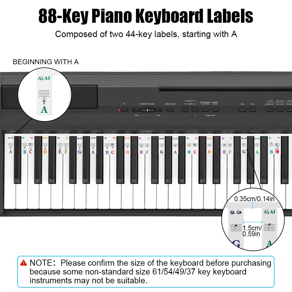 HiFan Removable Piano Keyboard Note Labels Without Sticking, 2 in 1 Piano Key Labels with Pitch Name & Staff, Durable Piano Note Labels for Beginner (88-key Standard Full Size)