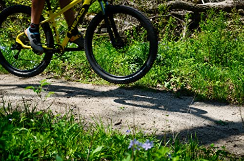Head Berm 29er Mountain Bike in 3 Sizes