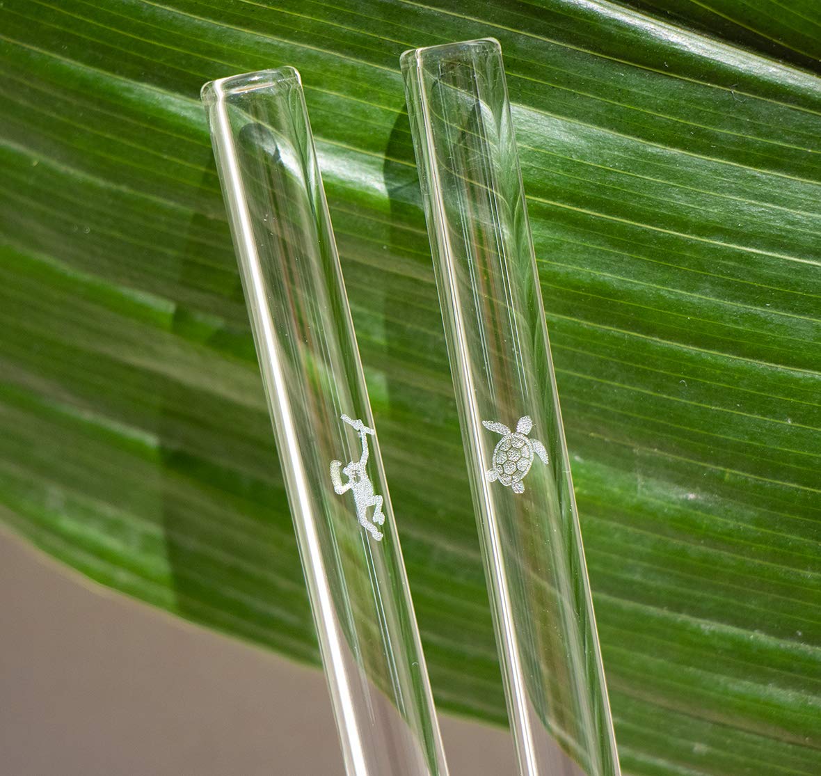 HALM Glass Straws - Earth Day Charity Edition - 6 Reusable Drinking Straws engraved with Endangered Animals - 20 cm (8 in) x 0.9 cm - Made in Germany - Dishwasher Safe - Eco-Friendly