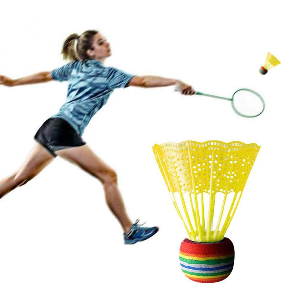 HJKL 10 PCS Badminton EVA Rainbow Ball Head Nylon Badminton Feathers for Game Sport Entertainment