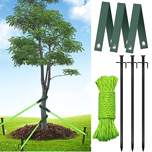 KAAOGITY Tee Stakes Supports Heavy Duty,Tree Straps with Anchor Kits Stable Rope for Young Leaning Staking Tree Ties for Garden Plant Against Bad Weather (11.8Inches Tree Kit)