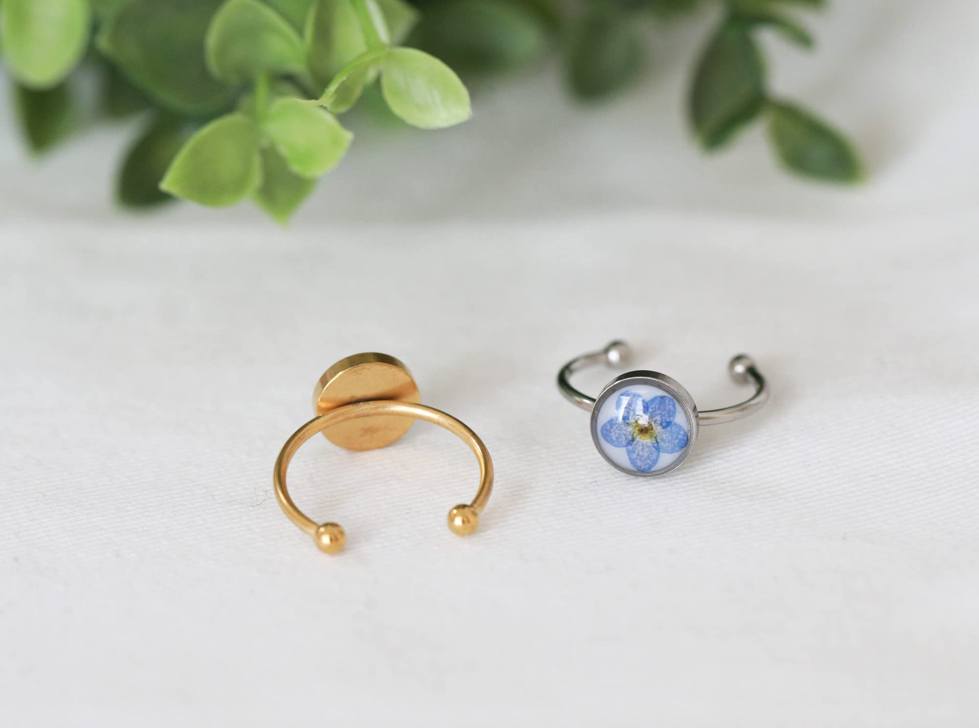 JewelryLand Handmade Pressed Real Forget Me Not flower Adjustable Ring (Silver)