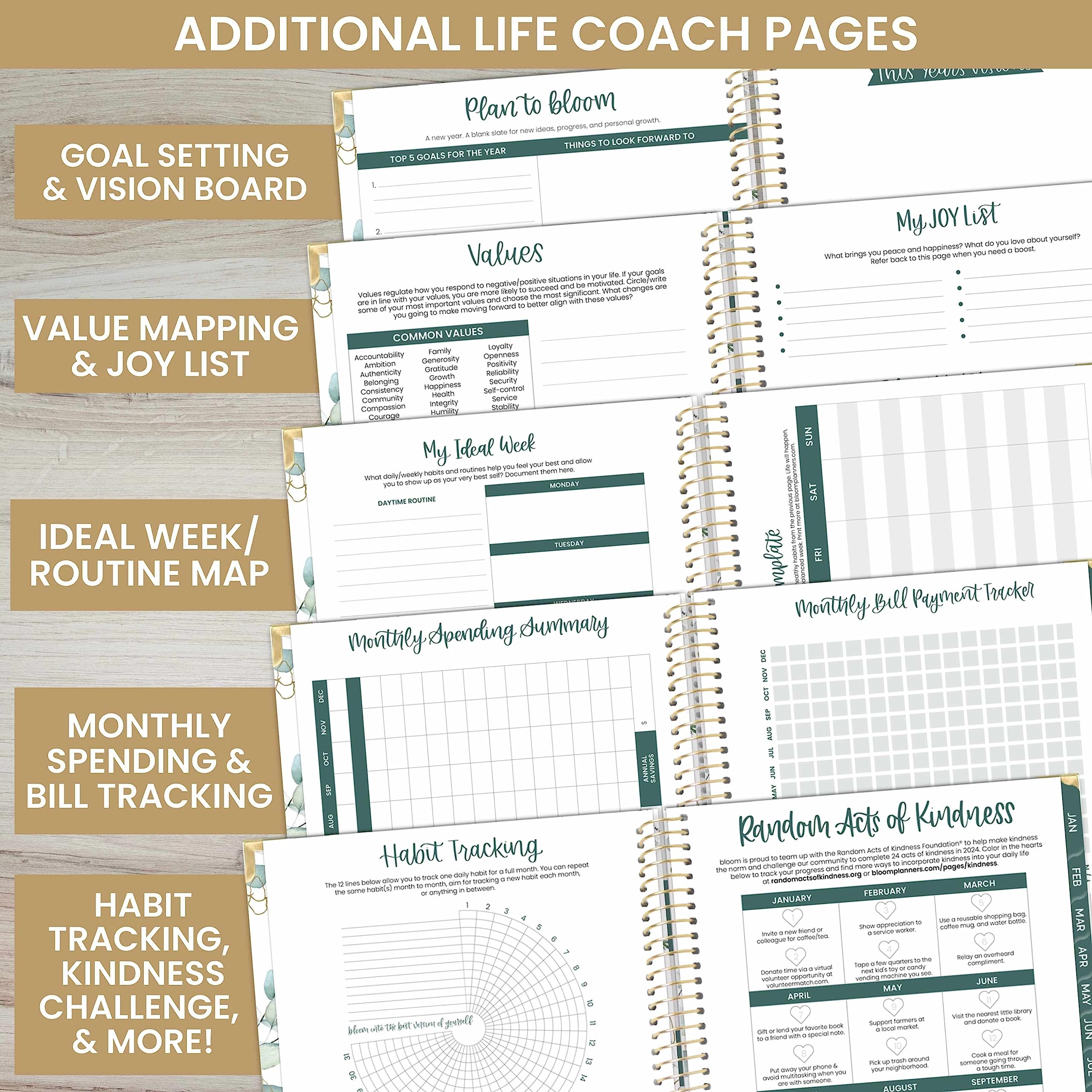 HARDCOVER bloom daily planners 2024 (8.5" x 11") Calendar Year Day Planner (January 2024 - December 2024) - Passion/Goal Organizer - Monthly & Weekly Inspirational Agenda Book - Eucalyptus