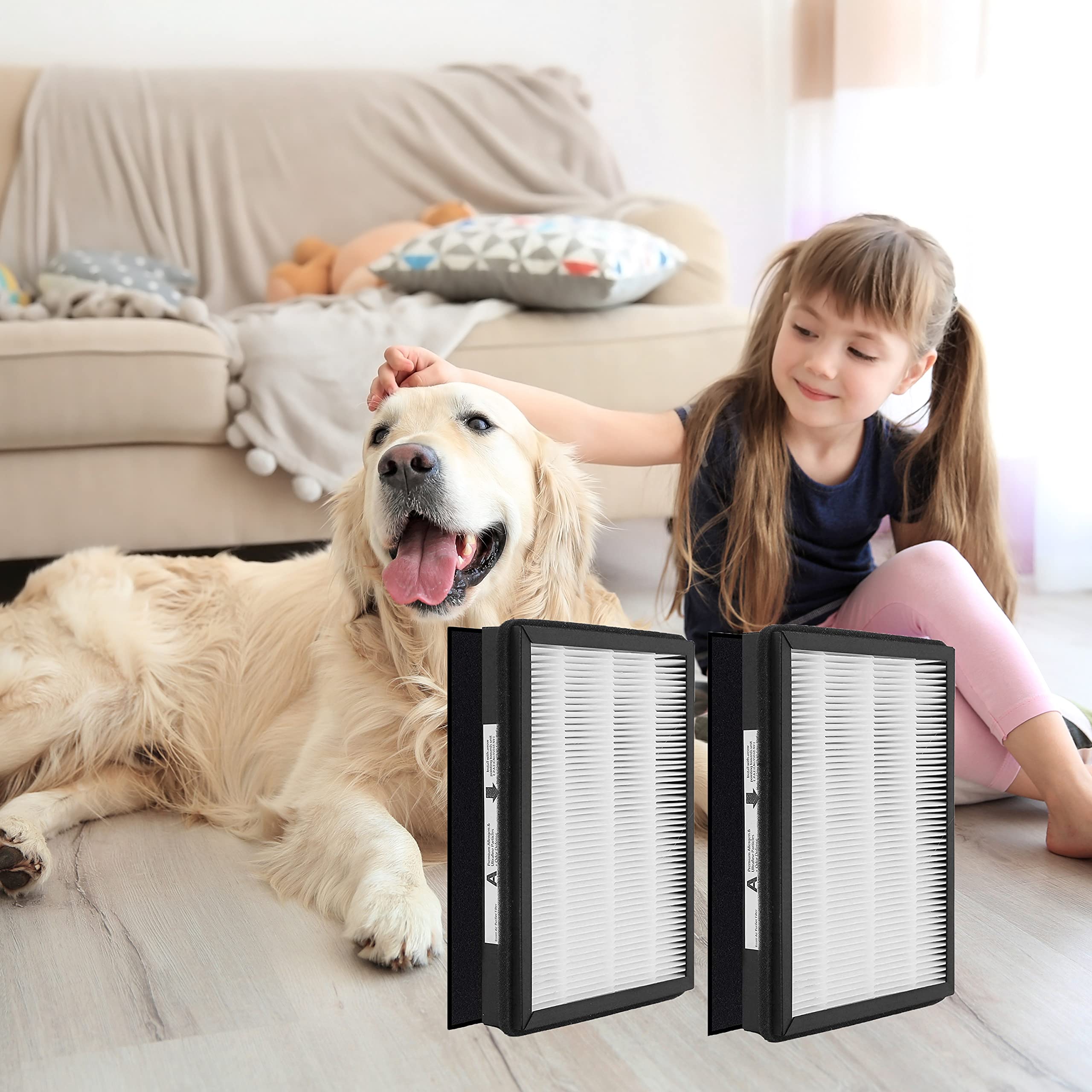 HENSITA Drolma Size A HEPA Replacement Filter, Compatible with Filtrete & Idylis Air Purifier Devices FAP-C01-A, AC-2119, IAPC-40-140, IAP-10-150, Compare to Part Model # IAF-H-100A, 2-Pack