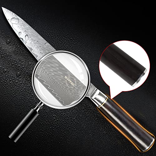 IKYPPAH Damascus Chef Knife 8 Inch, Japanese Aus10 Steel and Ebony handle,in Gift Box