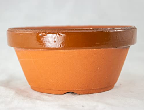 Japanese Tokoname Bonsai Training Pot, Cactus & Succulent Planter with Mesh - 5"x 5"x 2.25"