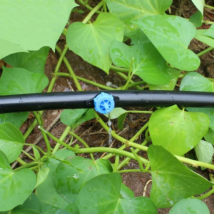 La Farah 2 GPH Pressure Compensating Drippers,Drip Irrigation Drippers/Emitters for 1/4 Inch Drip Irrigation Tubing, Yellow (50-Pack)