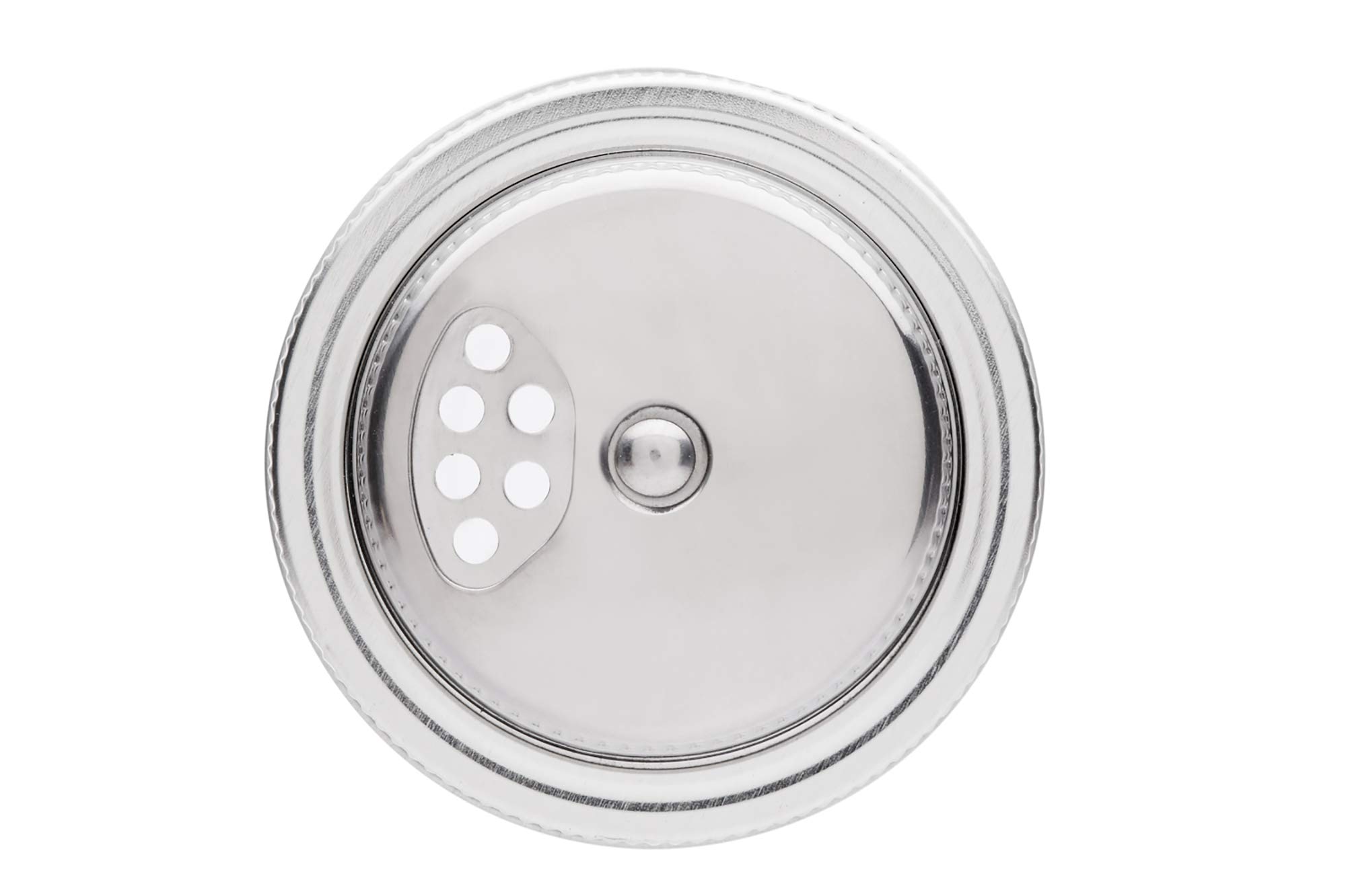 Jarware Stainless Steel Spice Shaker, Regular Mouth Mason Jar Spice Lid