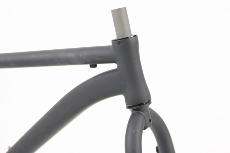 Gravity Deadeye Single Speed 29er Bike Frame Frameset Rigid Fork Unbranded Mountain Bike for 29 Inch Wheels (21" - fits most 6'2 to 6'7")