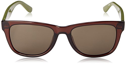 Lacoste L734s Rectangular Sunglasses, Brown/Green, 52 mm