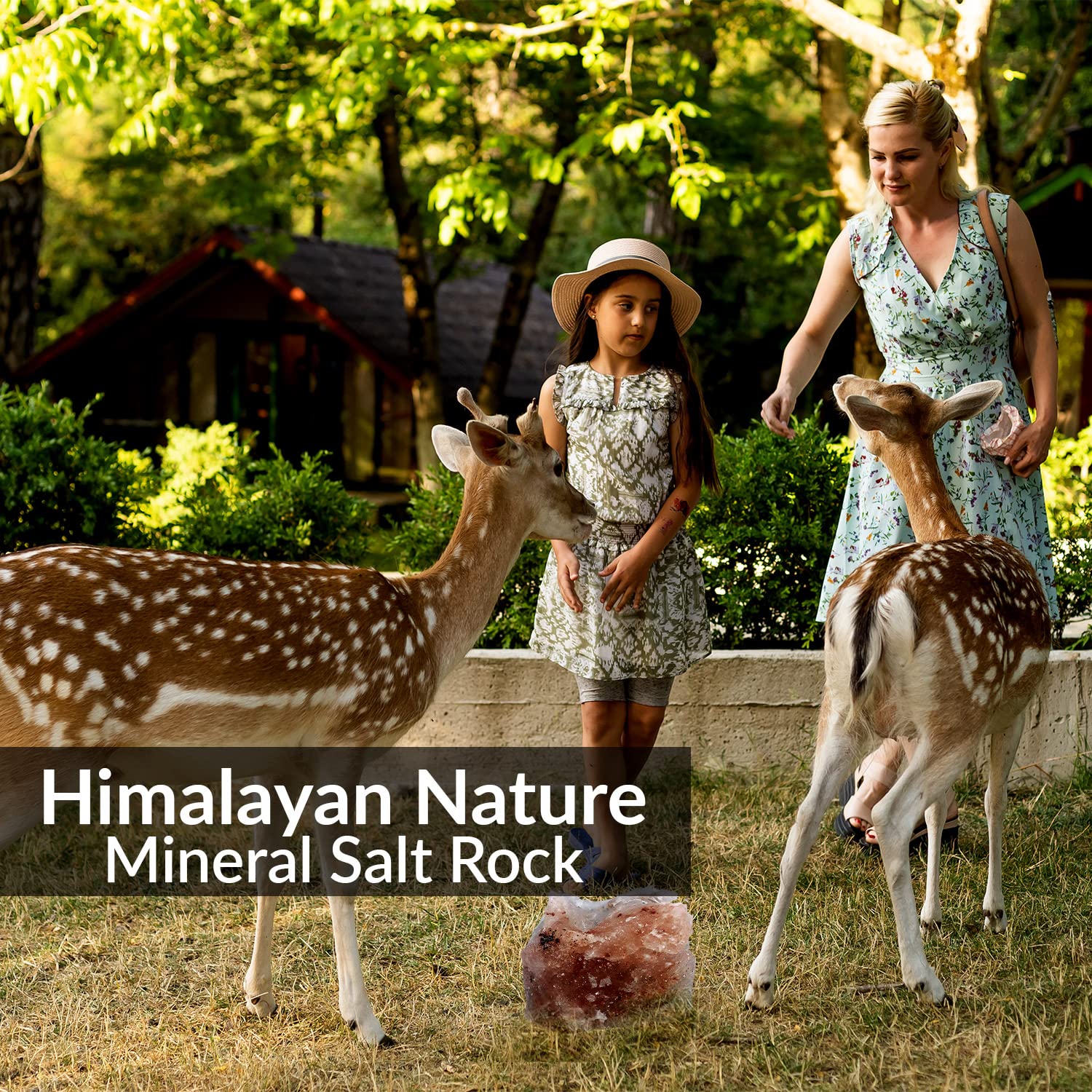 Himalayan Nature Animal Licking Pink Salt Rock Lick Deer| 5 Pound