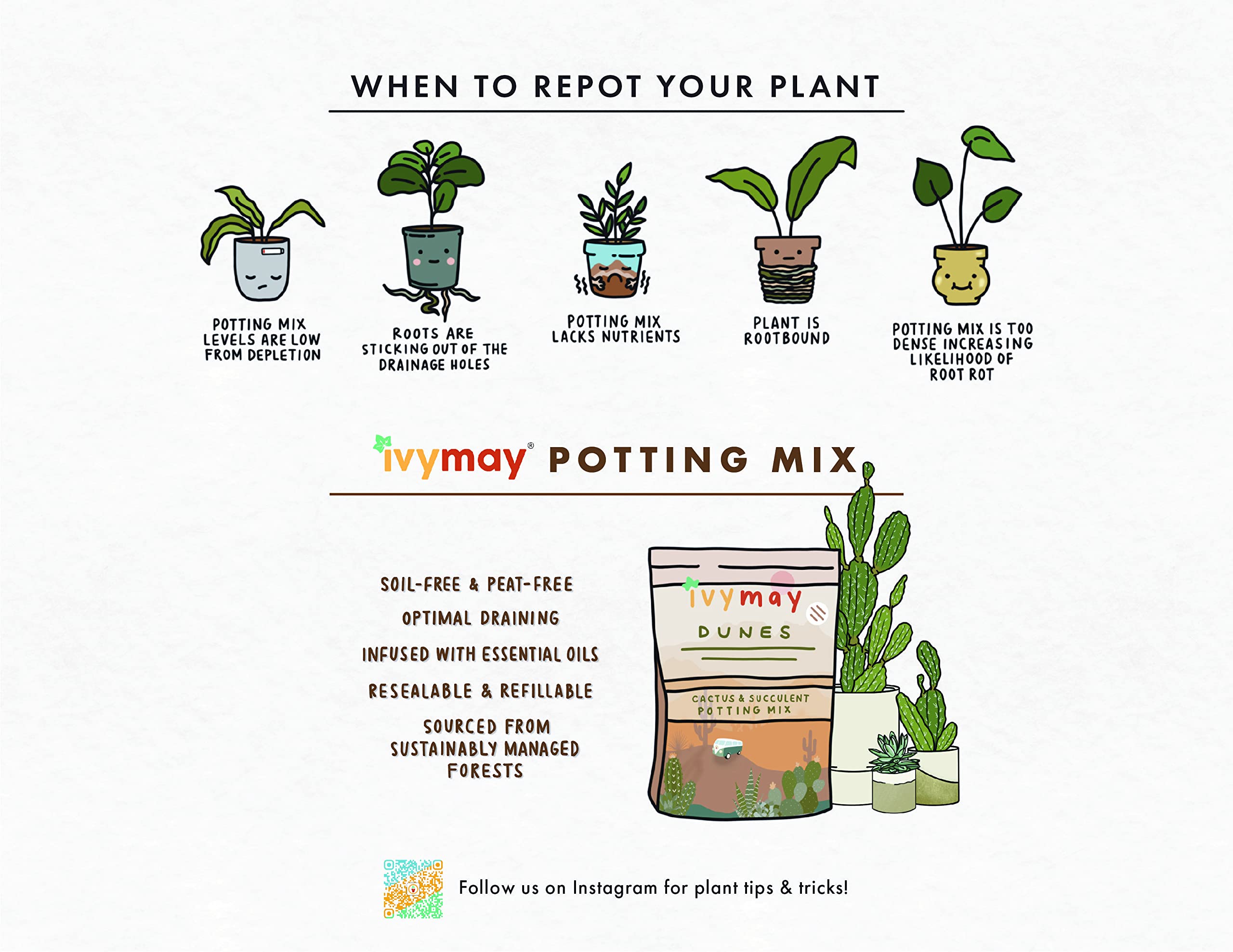 IvyMay Dunes Succulent Soil ― Organic Cactus Soil Potting Mix for Succulents, Ready to Use Potting Soil Indoor Plants with Perlite, Pumice, Earthworm Castings, Essential Oils ― 5 qt