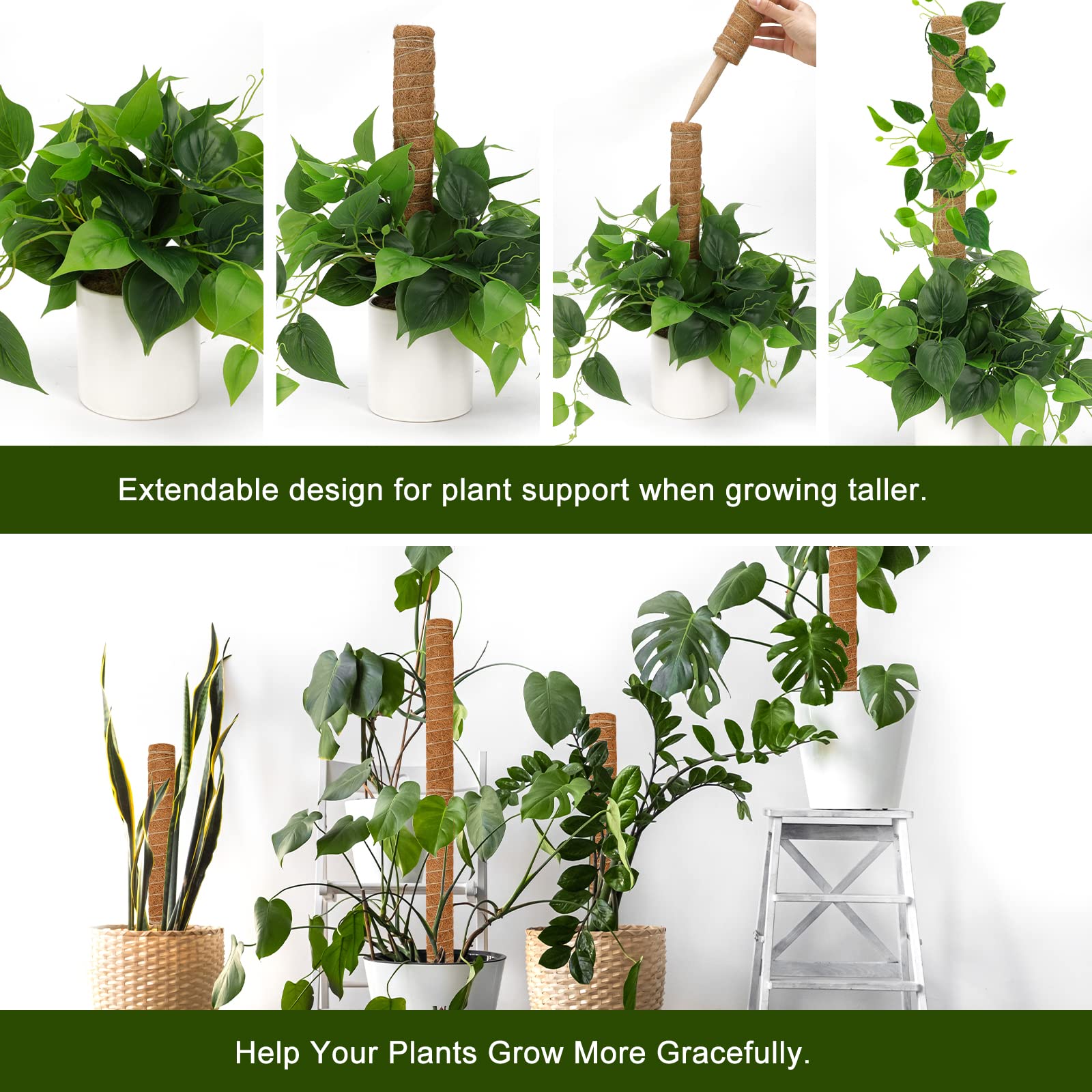 HongWay 77 Inch Moss Pole for Plant Monstera, 6 Pack 17 Inch Moss Plant Support, Monstera Support, Plant Climbing Pole, Moss Plant Stake