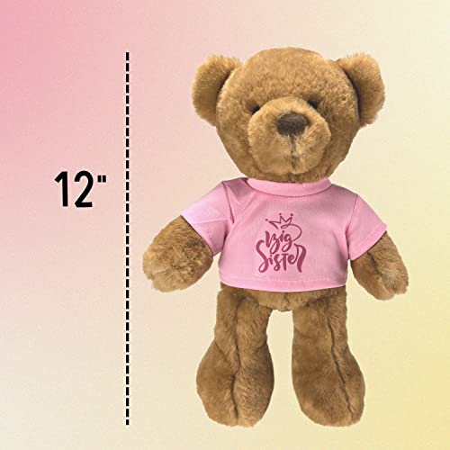 Jolitee Big Sister Gift Set - Big Sister Stuffed Animal Teddy Bear