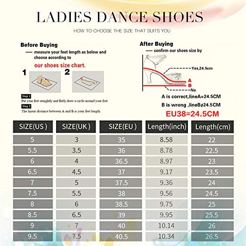 HIPPOSEUS Women's Latin Dance Shoes Satin Ballroom Party Salsa Dance Practice Performance High Heel,Nude color, 8.5 B(M) US