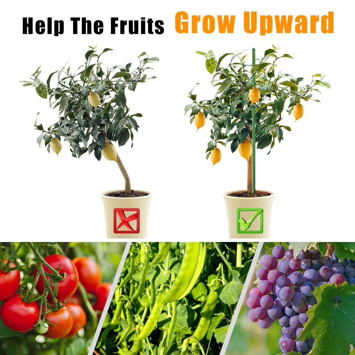 LAVEVE Garden Stakes 36 Inches Heavy Duty Steel Tomato Stakes, Plastic Coated Support Stakes for Securing Trees, Climbing Plants, Cucumber, Beans, 20 Pack