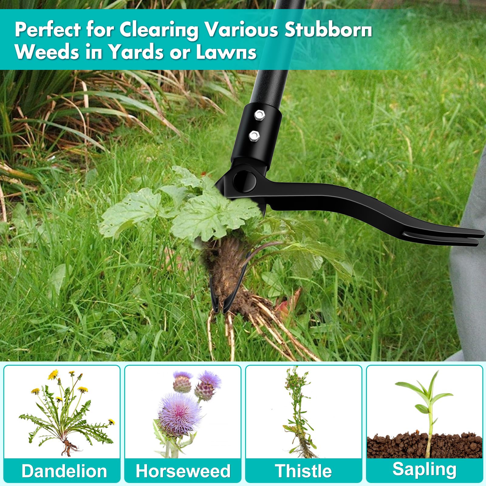 Lcokeiy Weed Puller Tool Stand Up Heavy Duty, 63" Long Handle Stand Up Weeder with 4 Claw Steel,Heavy Duty Weeding Tool for Dandelions Root