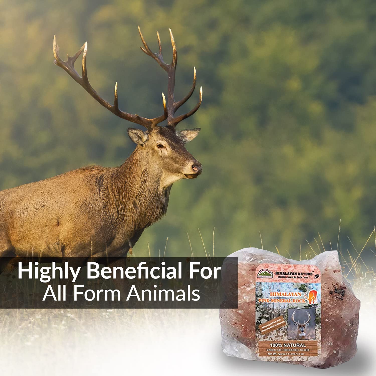 Himalayan Nature Animal Licking Pink Salt Rock Lick Deer| 5 Pound