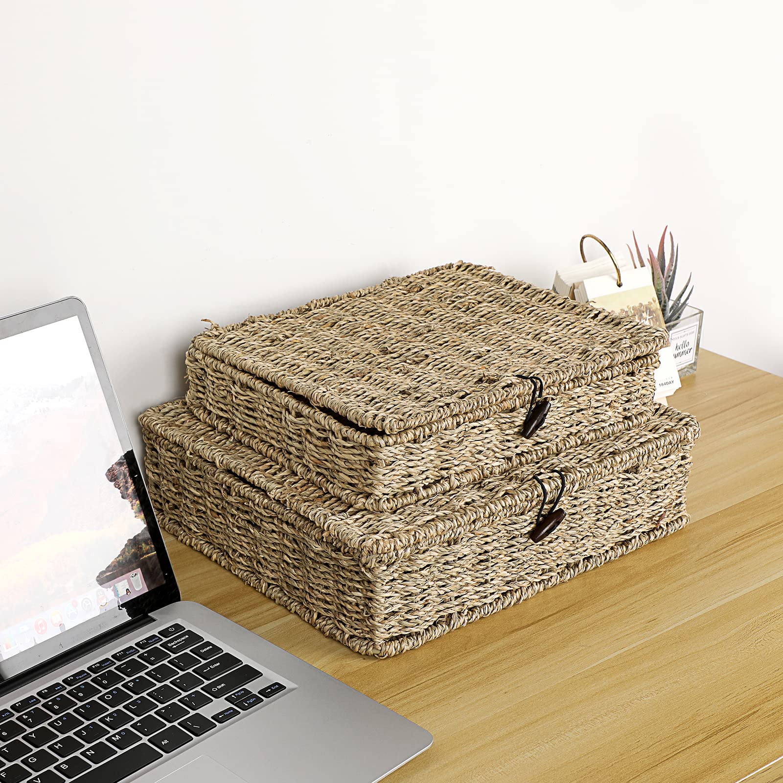 Hipiwe Set of 2 Flat Wicker Baskets Bins with Lid Handwoven Seagrass Storage Baskets Box Multipurpose Shelf Basket Bin Home Organizer Basket for Shelf Closet