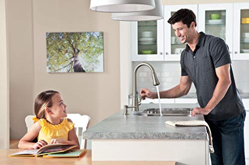 Moen 87359E2SRS Delaney One-Handle High Arc Pulldown Kitchen Faucet, Spot Resist Stainless
