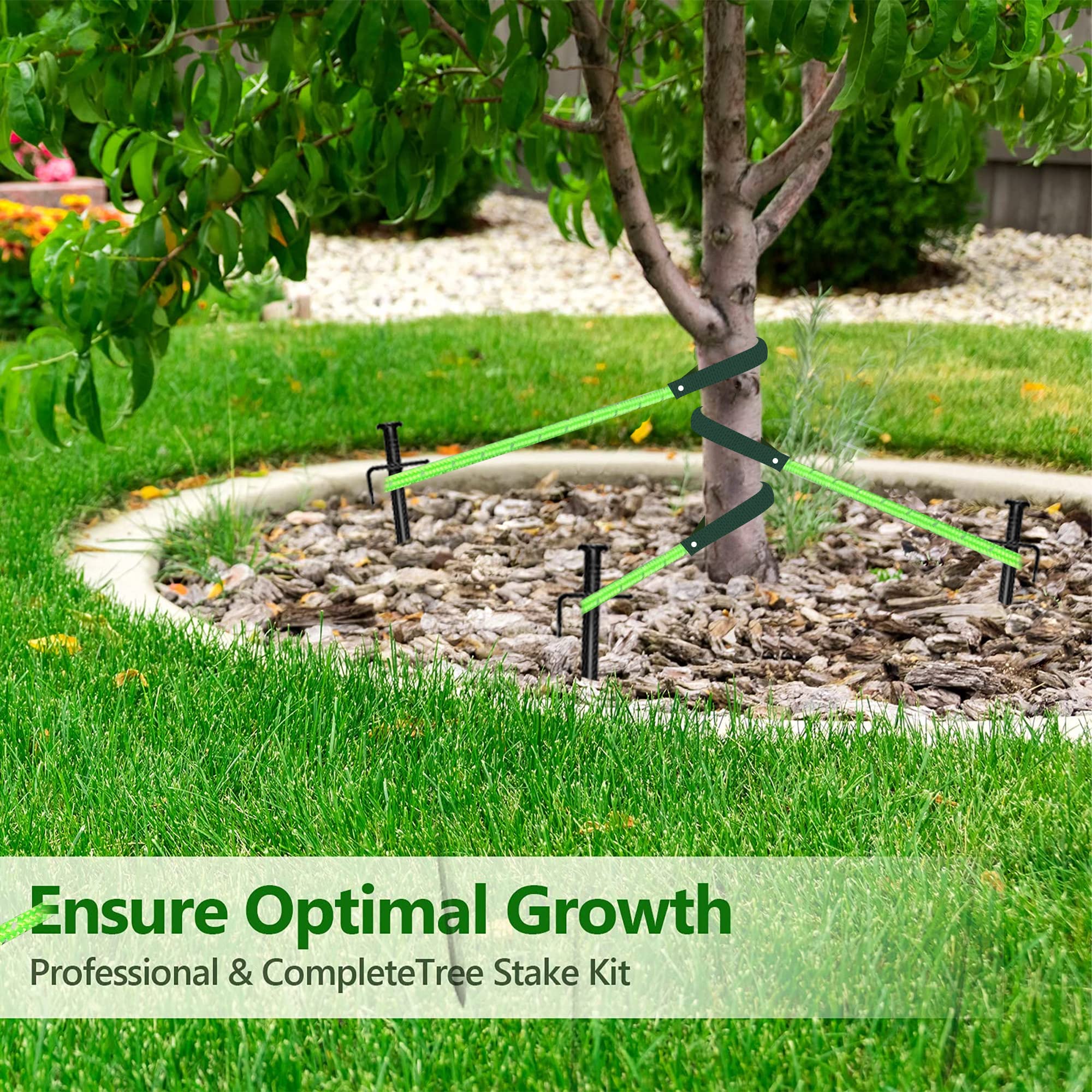 KAAOGITY Tee Stakes Supports Heavy Duty,Tree Straps with Anchor Kits Stable Rope for Young Leaning Staking Tree Ties for Garden Plant Against Bad Weather (11.8Inches Tree Kit)