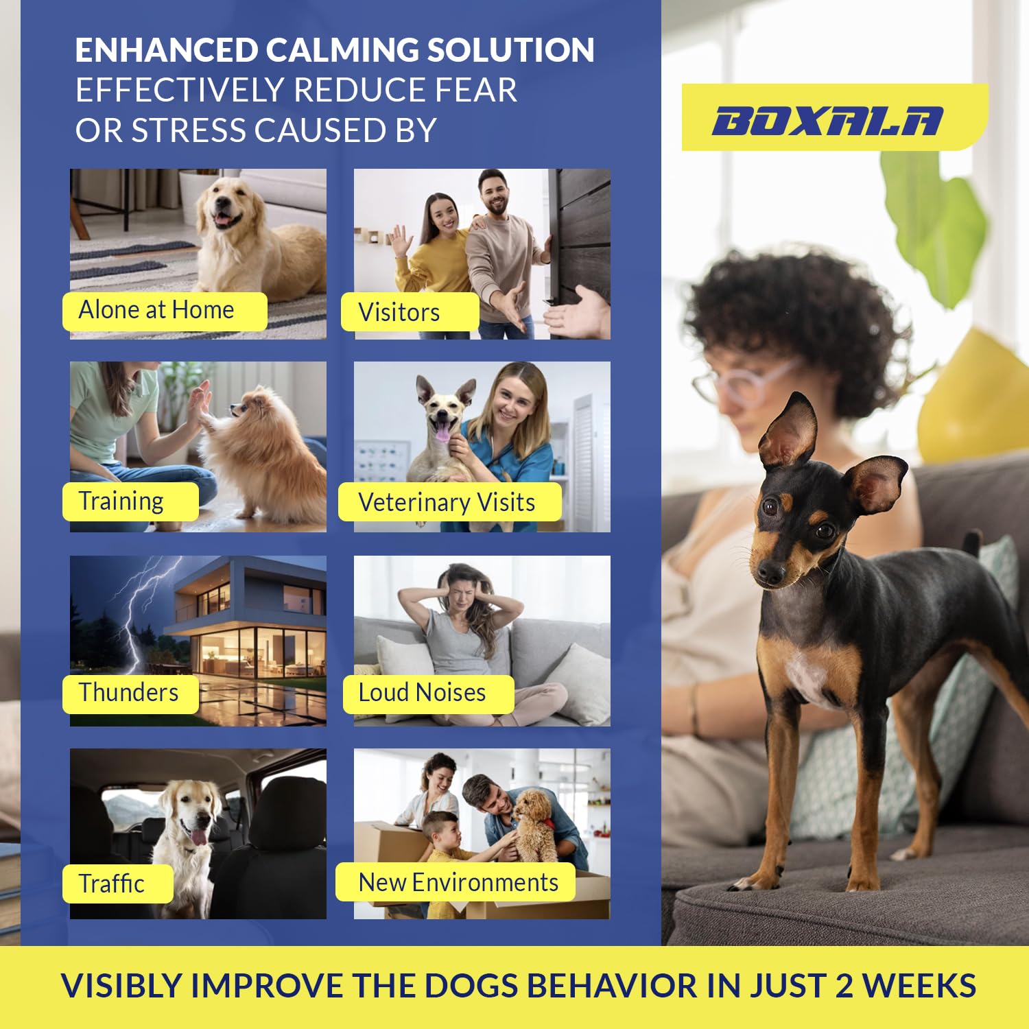 Pheromone Diffuser for Dogs: Calming Pheromone Diffuser Kit - Dog Calming Diffuser - Calming Pheromones - Dog Anxiety Relief - Calming Diffuser for Dogs - Pet Calming Diffuser - 1 Diffuser 2 Refill