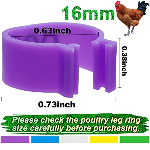 Keedolla 100Pcs 16mm Chicken Leg Rings 5 Colors Numbered Chicken Identification Leg Bands, Poultry Leg Bands Chicken Foot Rings for Ducks Chicks Bantam Guinea Pigeons Goose Gamefowl - Medium