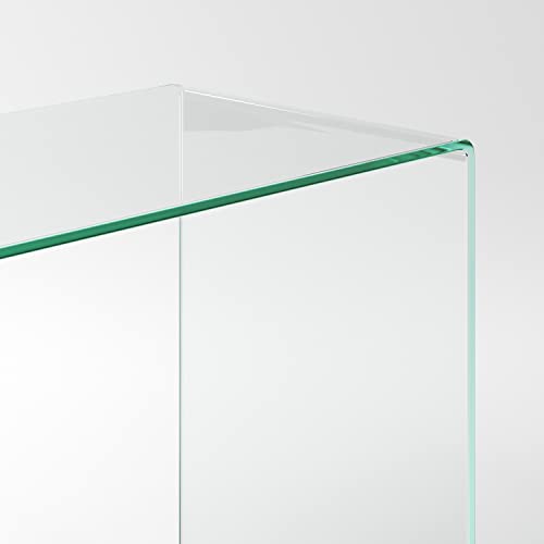 Neos Modern Furniture CD008-N Rectangular Shaped PC Laptop Workstation Table for Home Office, Clear
