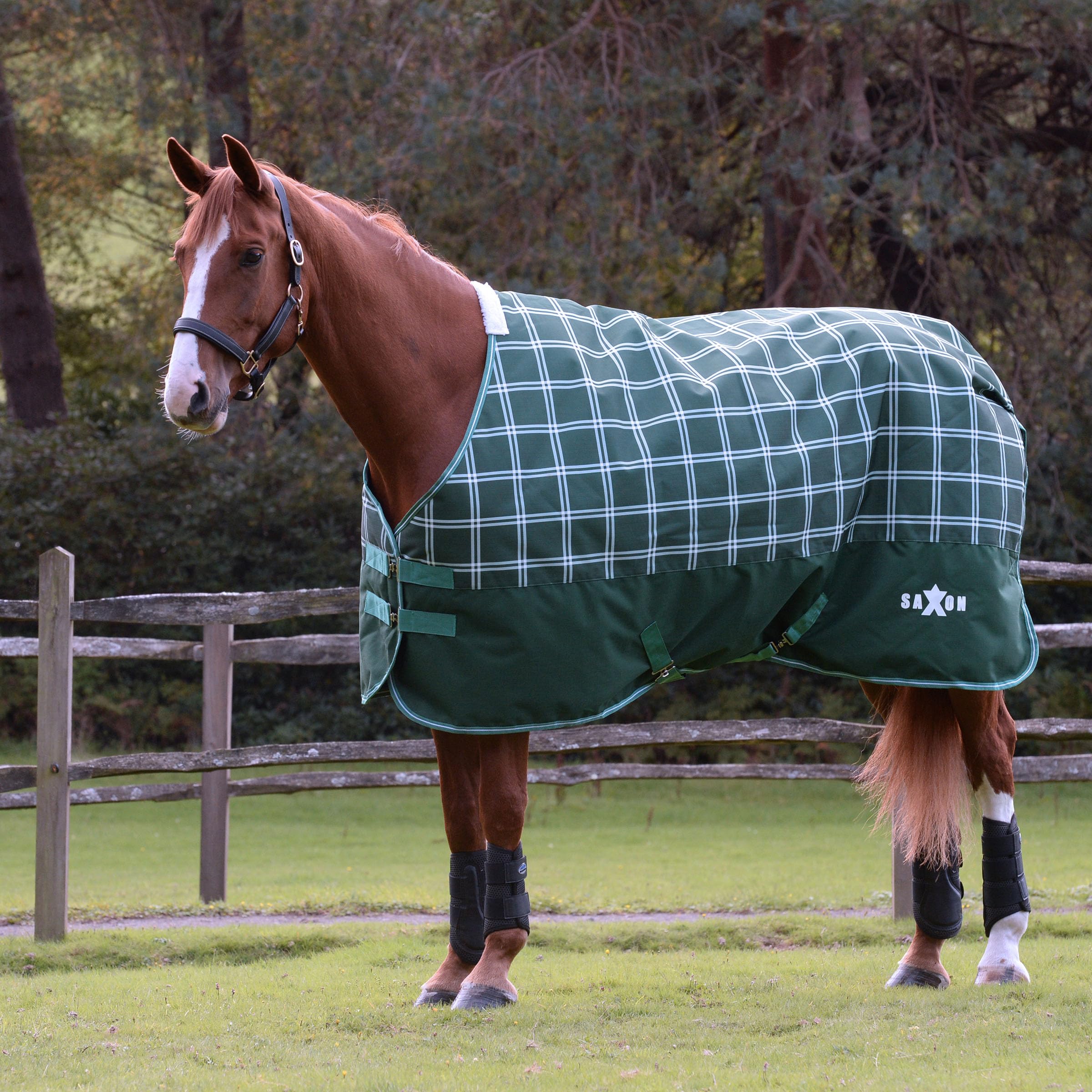 Saxon Defiant 1200D Standard Neck Medium Horse Blanket, Hunter Green/Plaid, 81"