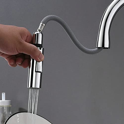 Leekayer Pull Out Kitchen Faucet with Sprayer Chrome Finish Kitchen Mixer Tap Single Lever One Hole Mount 2 Water Flow Type